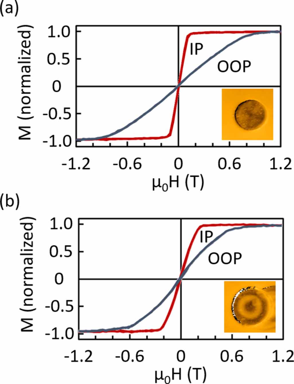 Target domains in nanometric Permalloy disks with columnar structure - IOPscience
