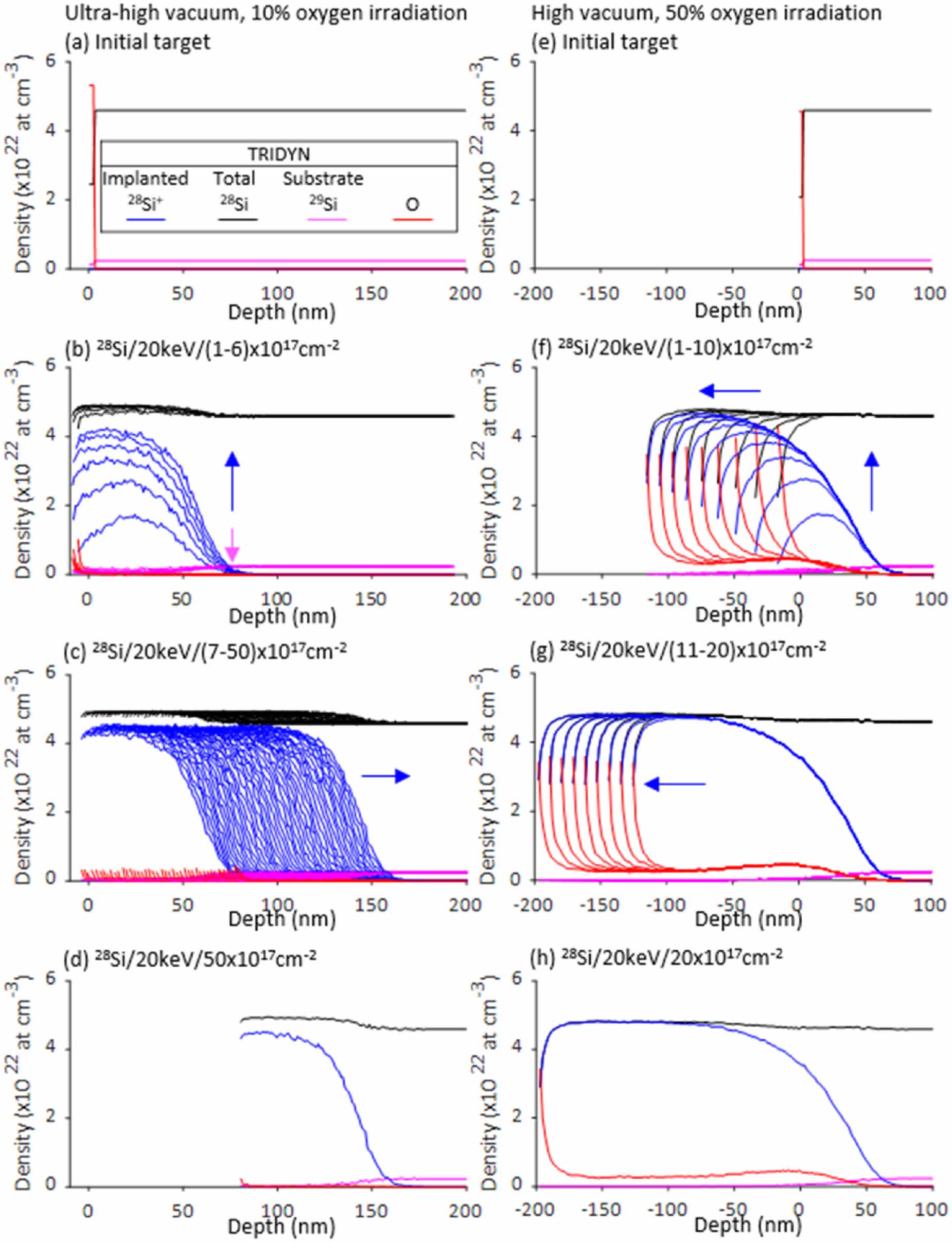 A study of the formation of isotopically pure 28Si layers for quantum ...