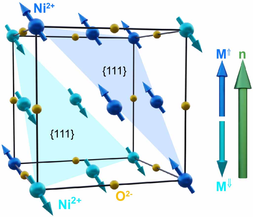 Linear and nonlinear spin dynamics in multi-domain magnetoelastic ...