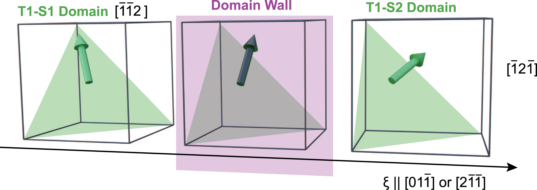 Linear and nonlinear spin dynamics in multi-domain magnetoelastic ...