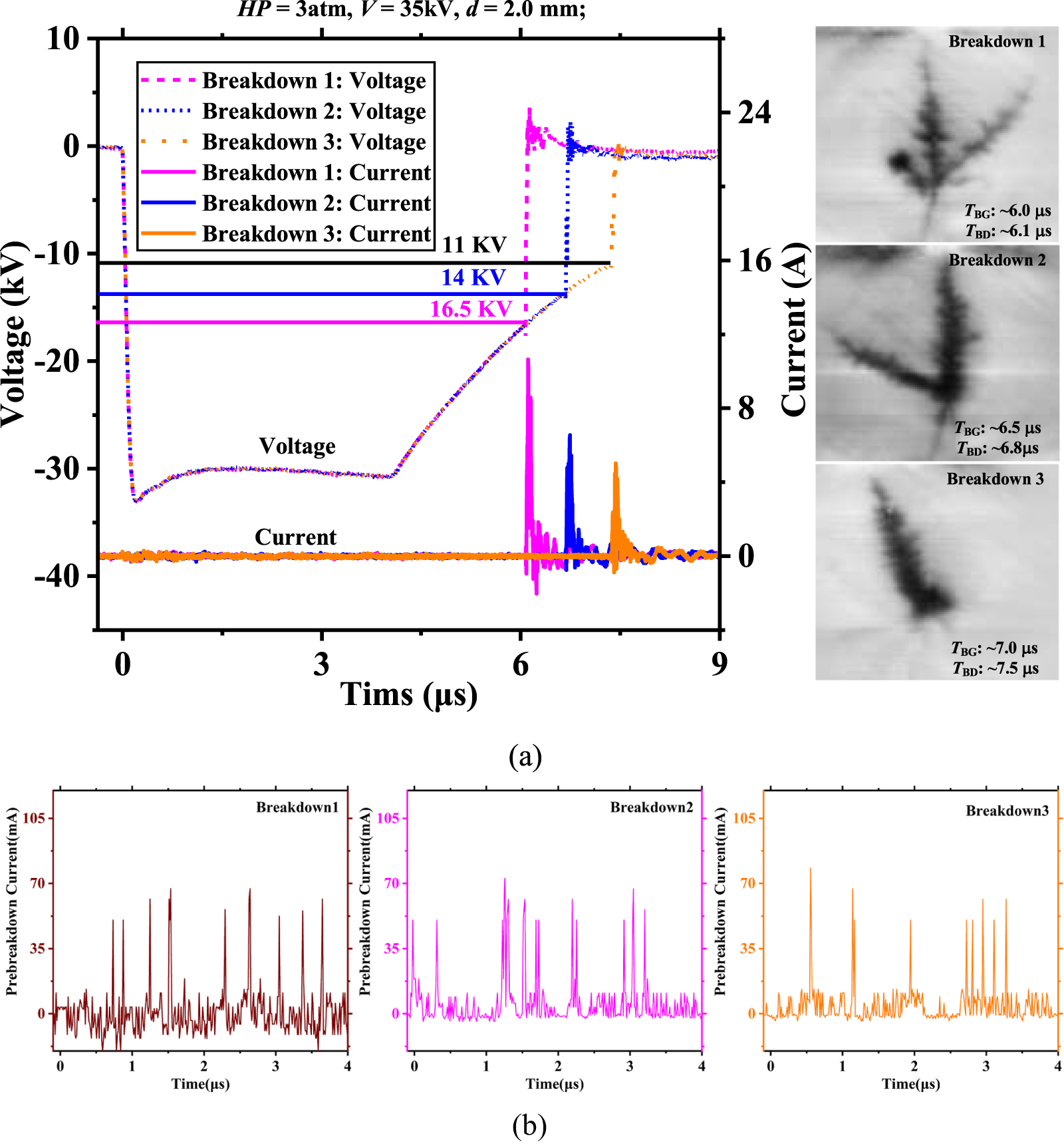 Prebreakdown negative streamers in liquid nitrogen: propagation ...