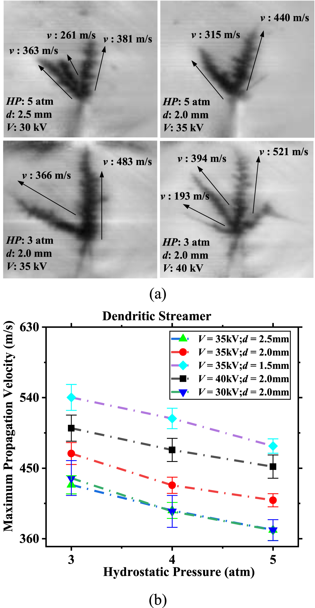 Prebreakdown negative streamers in liquid nitrogen: propagation ...
