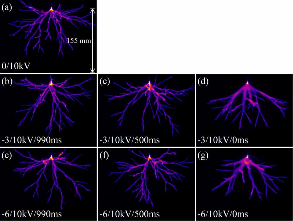 Effects of a negative corona discharge on subsequent positive streamers ...