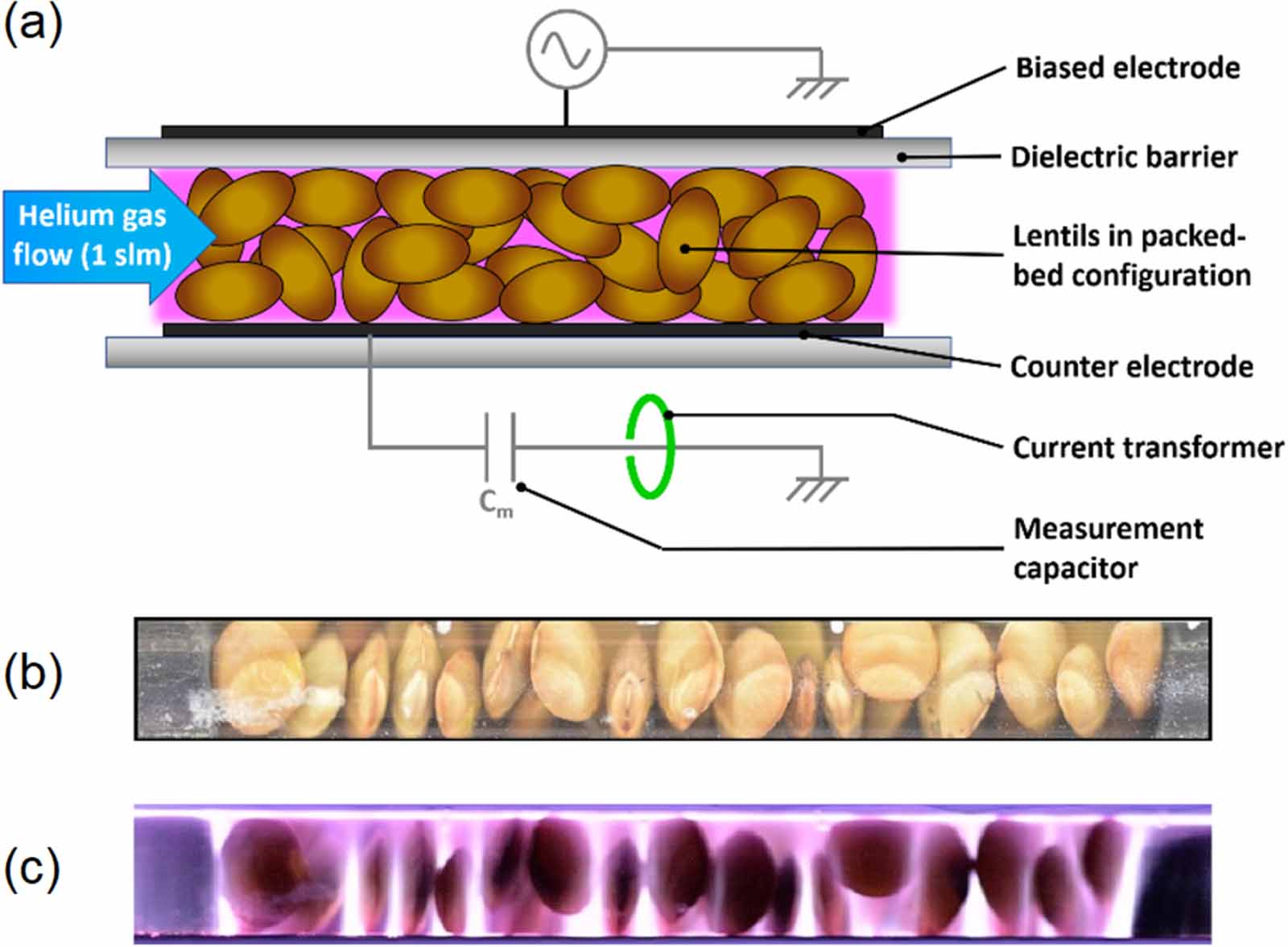 Cold plasma treatment of seeds: deciphering the role of contact ...