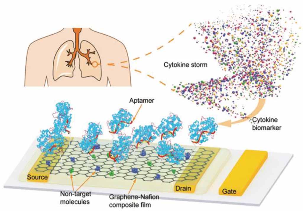 Recent advances in field effect transistor biosensor technology for ...