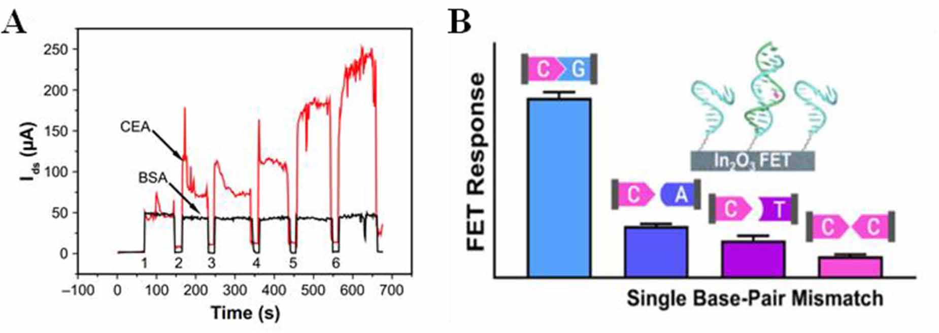 Recent advances in field effect transistor biosensor technology for ...