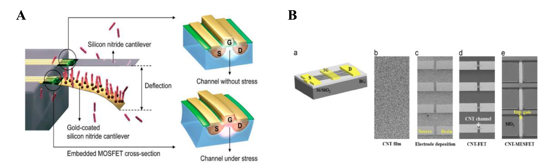 Recent advances in field effect transistor biosensor technology for ...