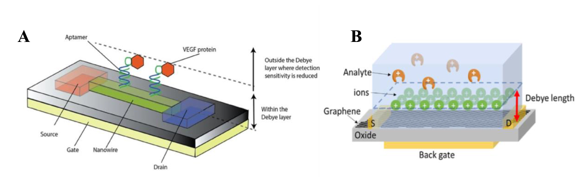 Recent advances in field effect transistor biosensor technology for ...