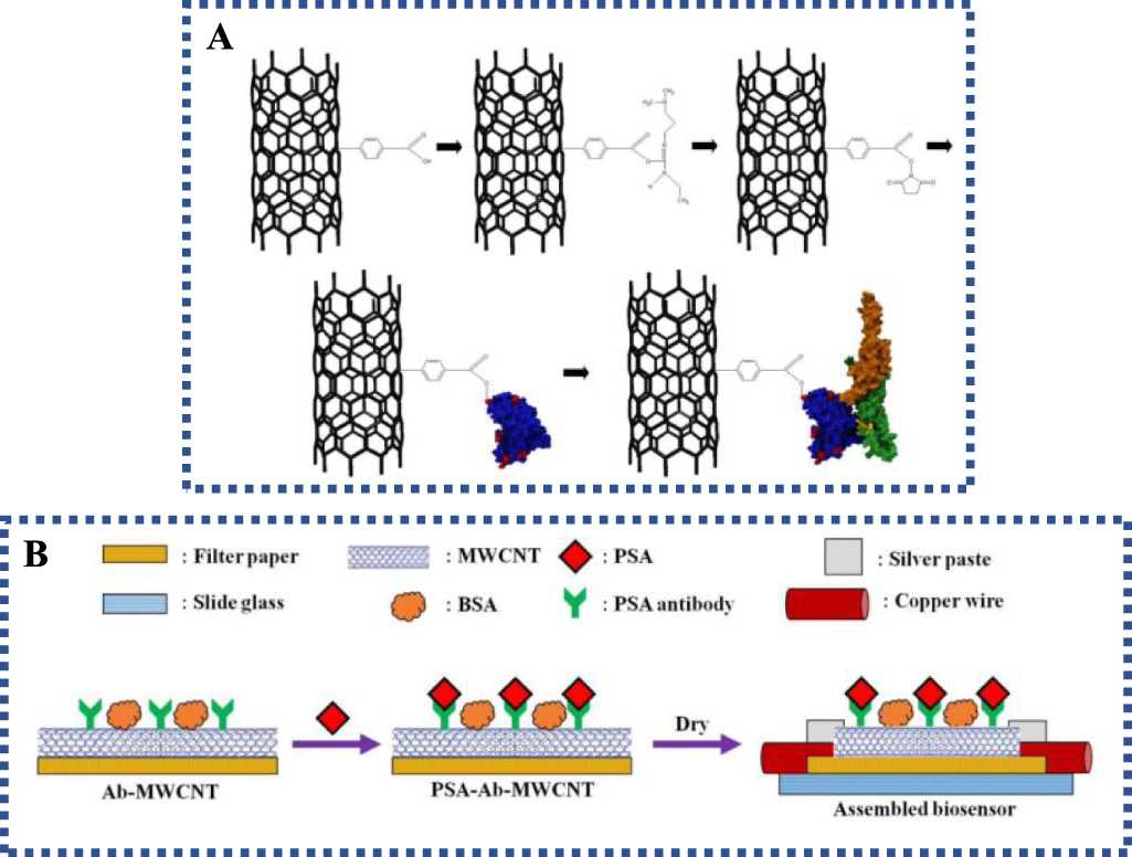 Recent advances in field effect transistor biosensor technology for ...