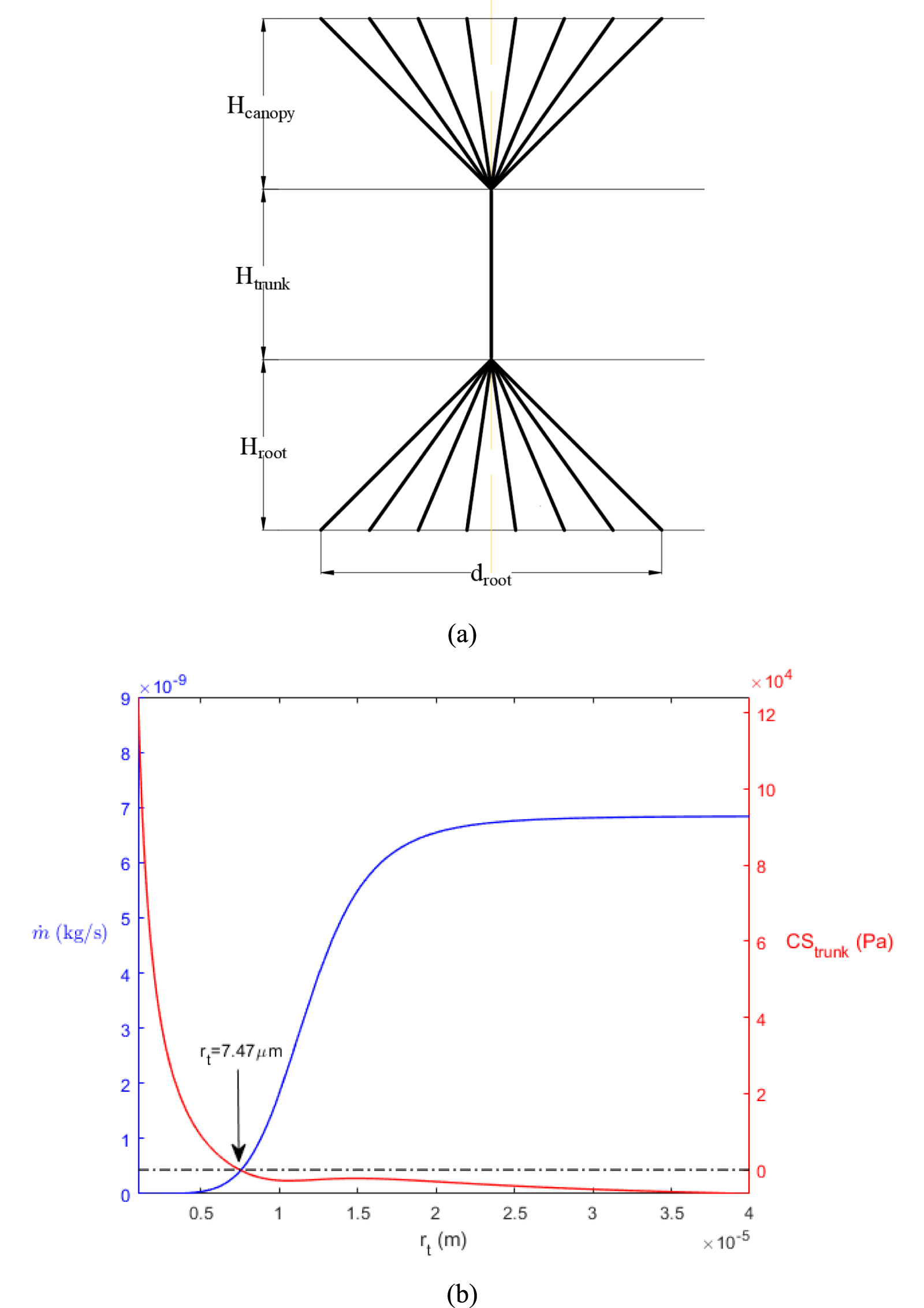 Capillary trees for passively pumping water - IOPscience