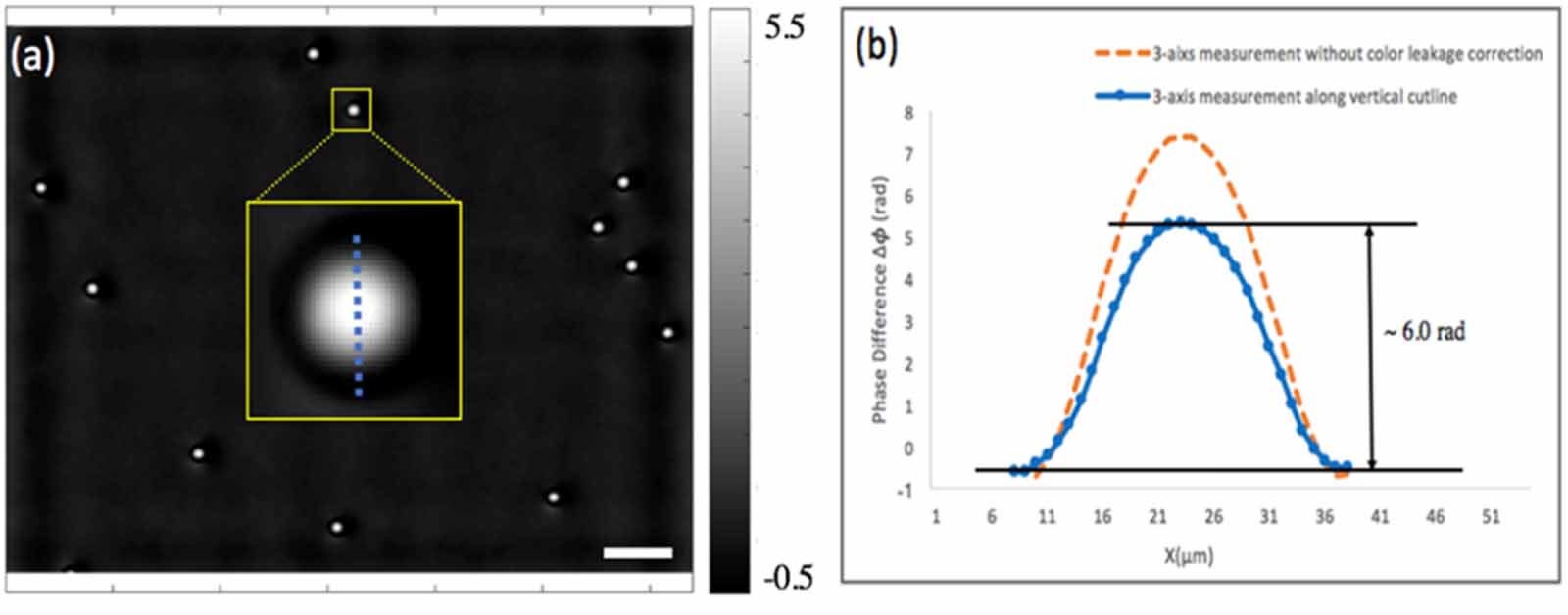 Isotropic quantitative differential phase contrast imaging techniques ...