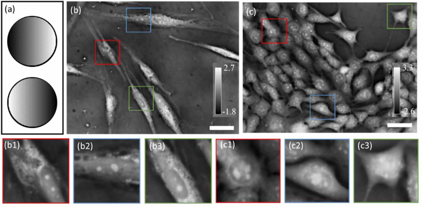 Isotropic quantitative differential phase contrast imaging techniques ...
