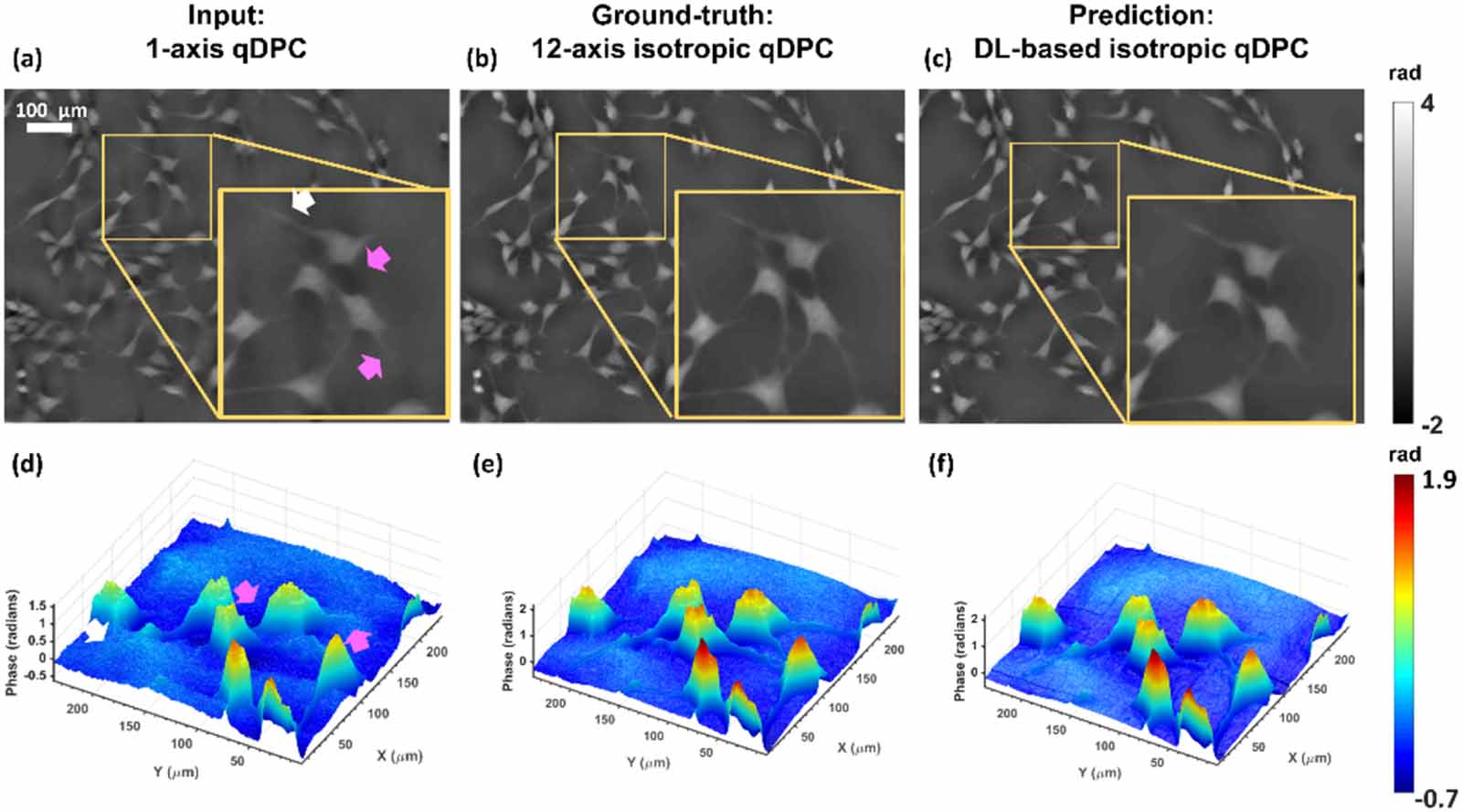 Isotropic quantitative differential phase contrast imaging techniques ...