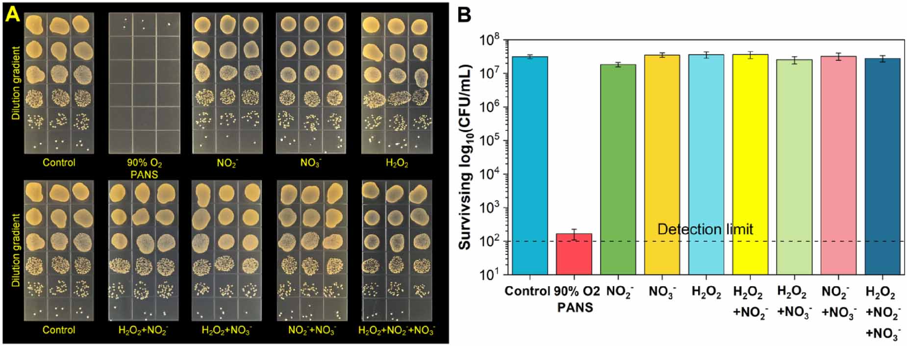 Nitrox surface discharge used for water activation: the reactive ...