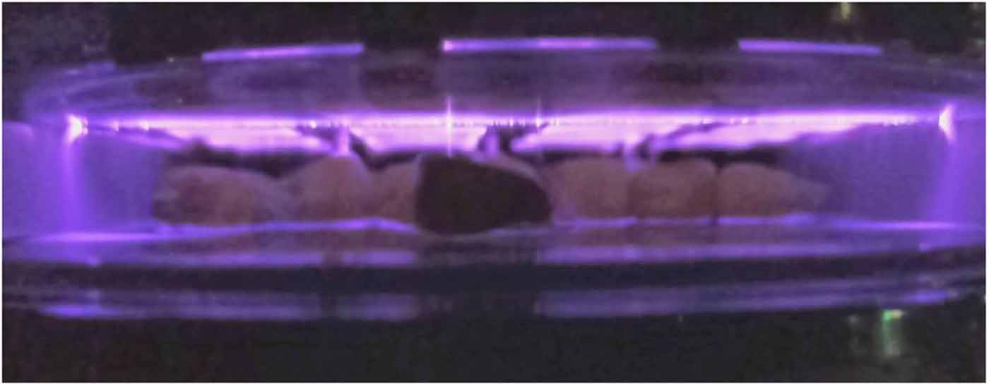 The 2022 Plasma Roadmap: low temperature plasma science and technology ...