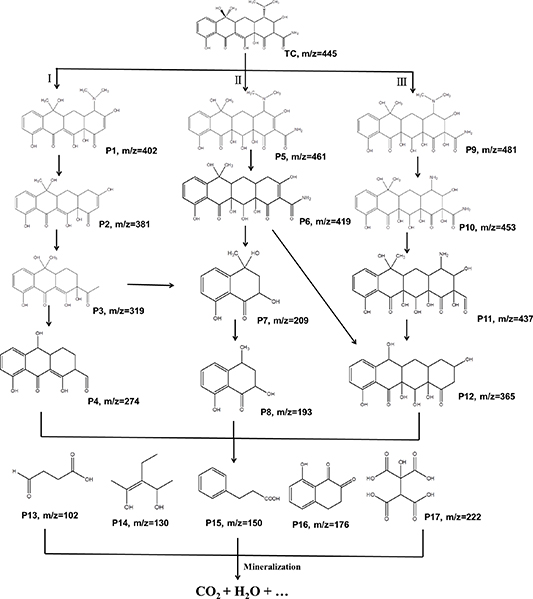 Fabrication of g-C3N4/N,Fe co-doped CQDs composites: in situ decoration ...