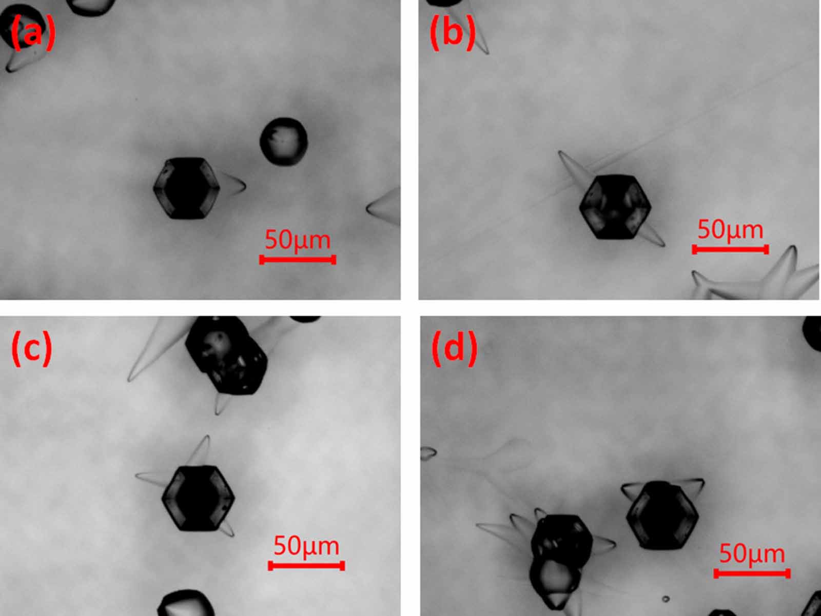 Investigation on dislocation and deflection morphology of PVT-grown on ...