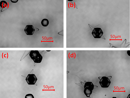 Investigation on dislocation and deflection morphology of PVT-grown on ...