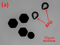 Investigation on dislocation and deflection morphology of PVT-grown on ...