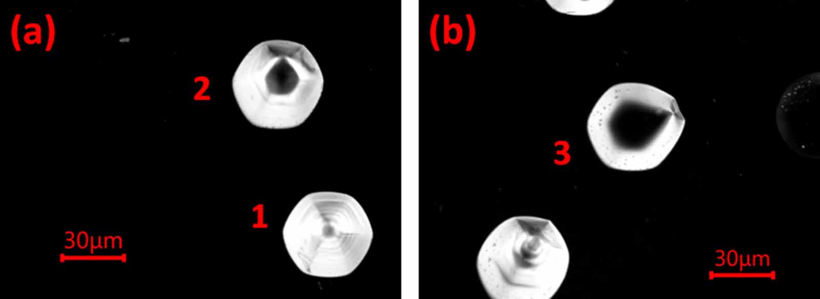 Investigation on dislocation and deflection morphology of PVT-grown on ...