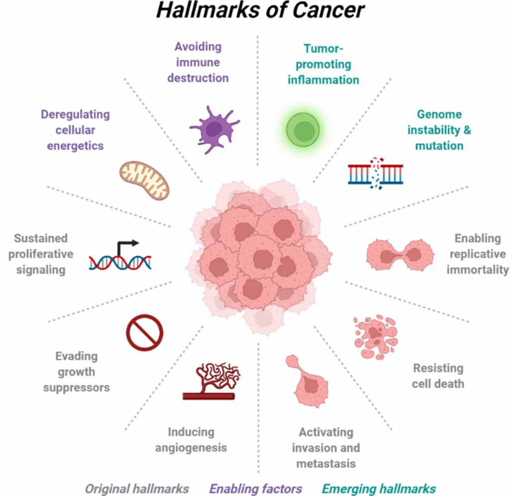 Plasma, cancer, immunity - IOPscience