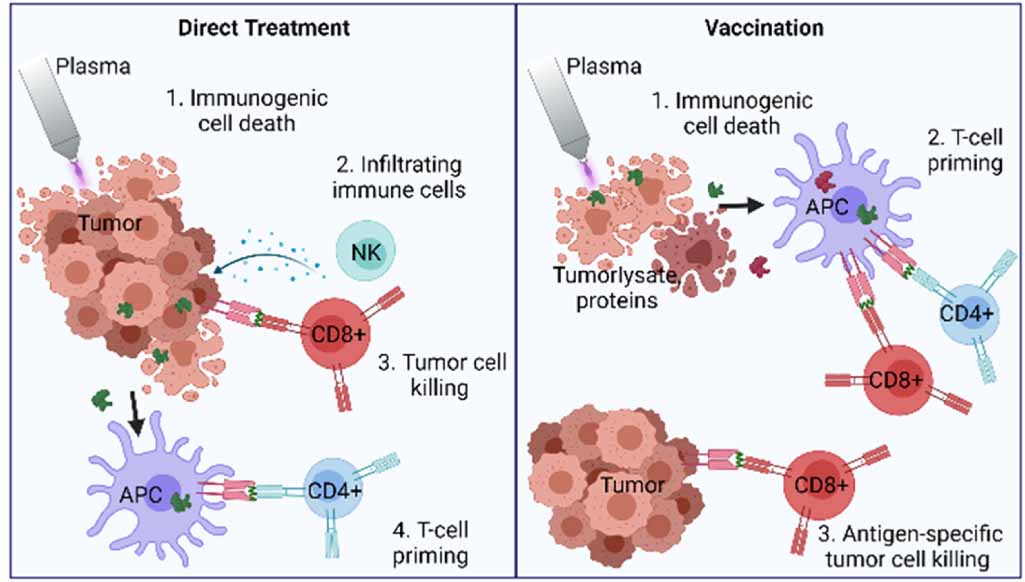 Plasma, cancer, immunity - IOPscience