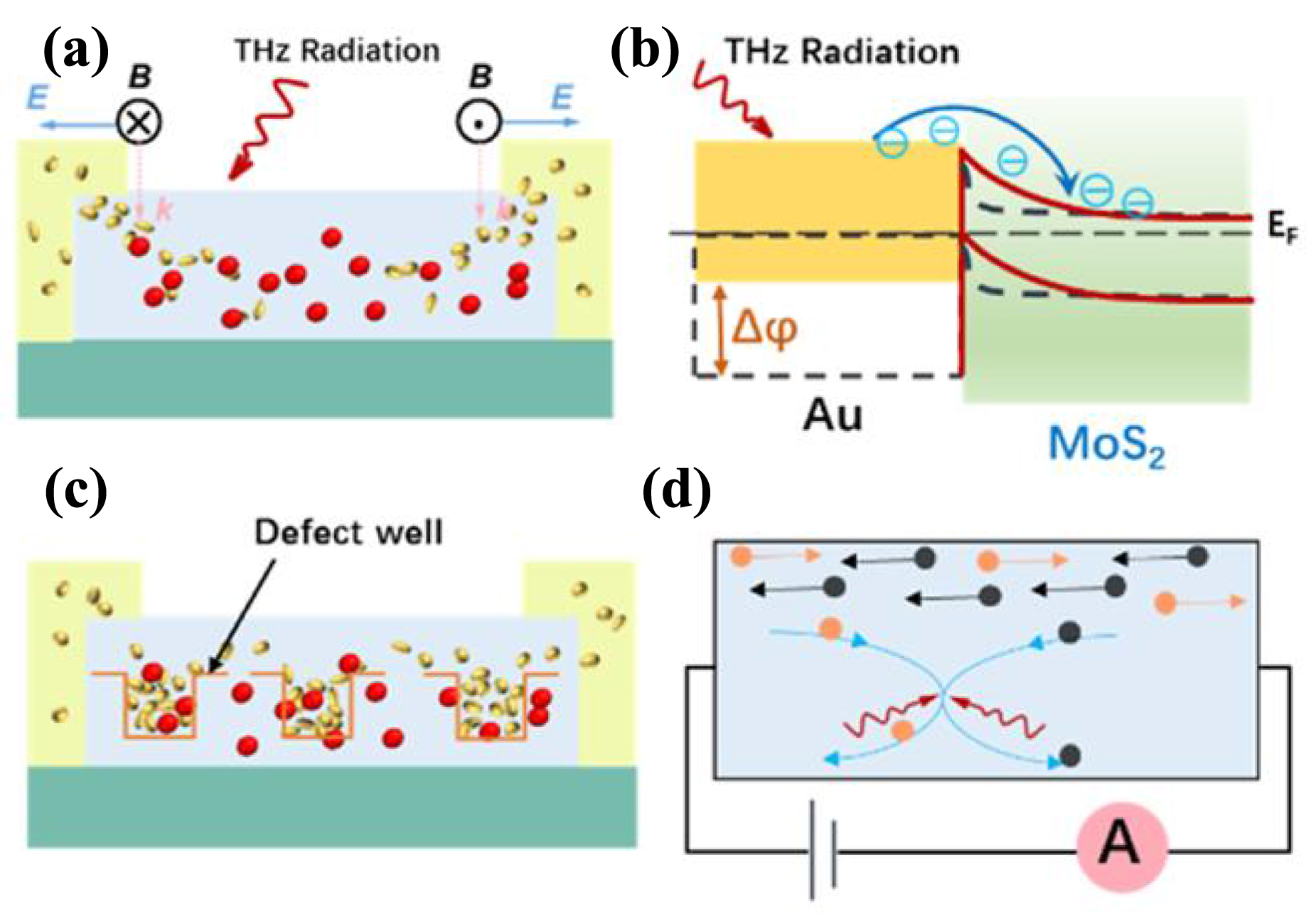 A strategic review of recent progress, prospects and challenges of MoS2 ...