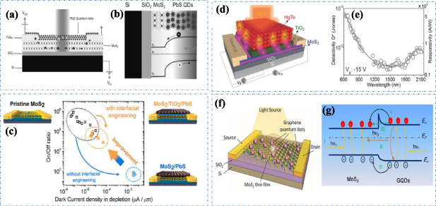 A strategic review of recent progress, prospects and challenges of MoS2 ...