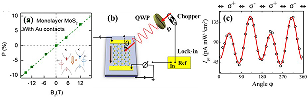 A strategic review of recent progress, prospects and challenges of MoS2 ...