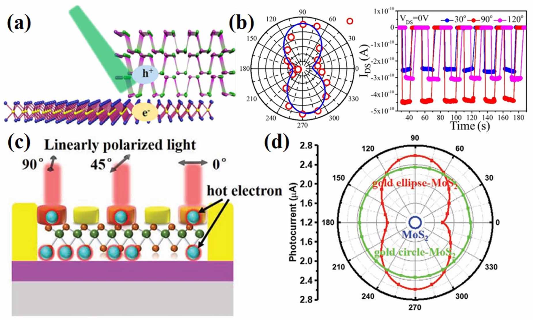 A strategic review of recent progress, prospects and challenges of MoS2 ...