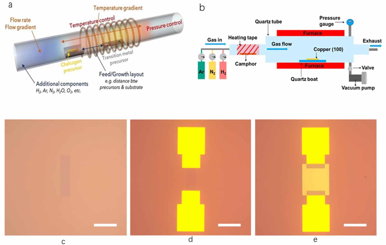 Recent progress in waveguide-integrated photodetectors based on 2D ...