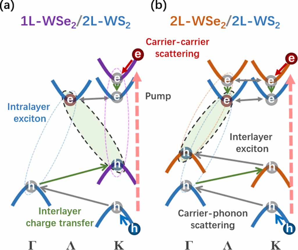 Layer-engineered interlayer charge transfer in WSe2/WS2 ...