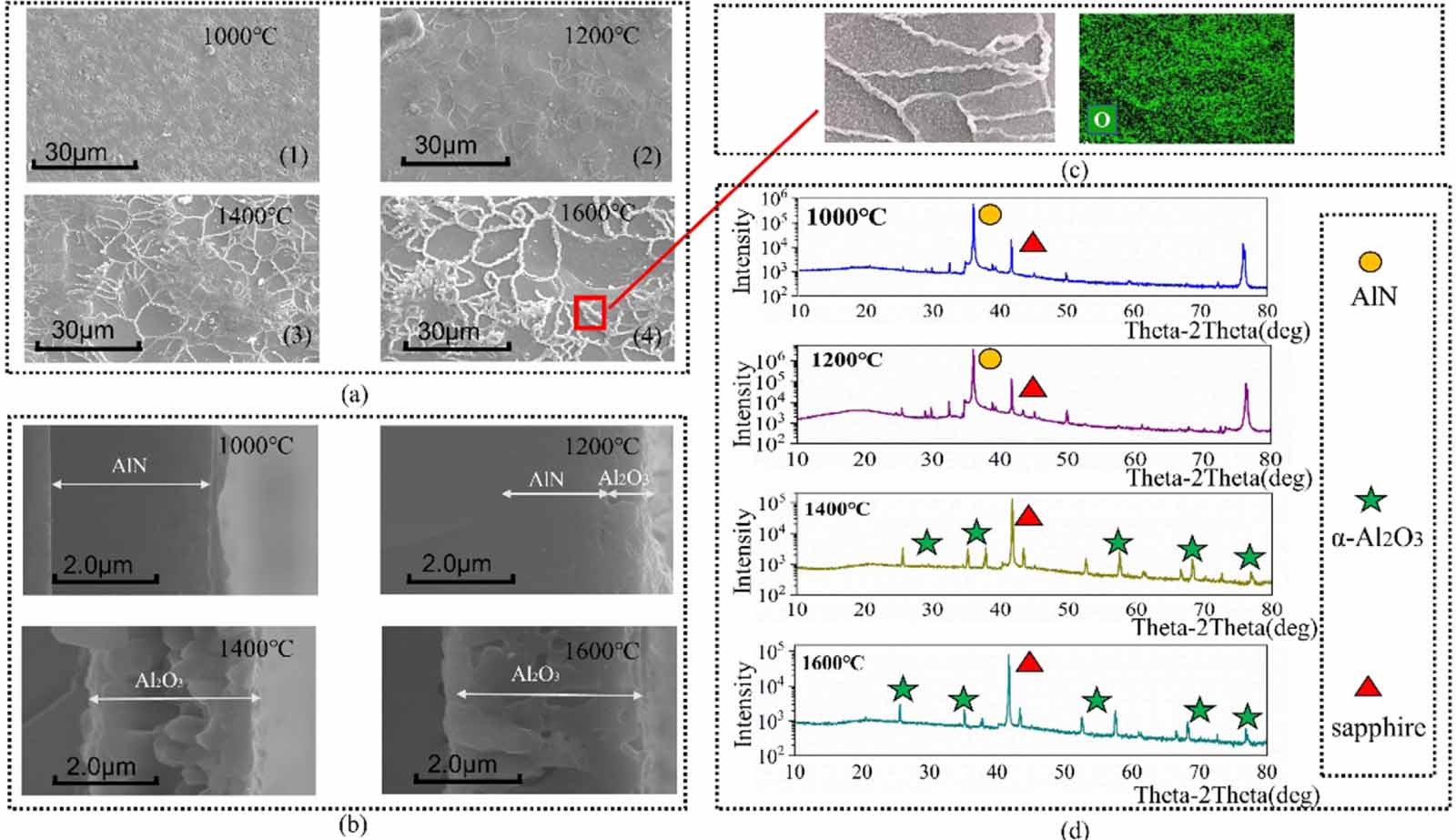 Single-crystalline AlN/sapphire and composite electrode based ultra ...