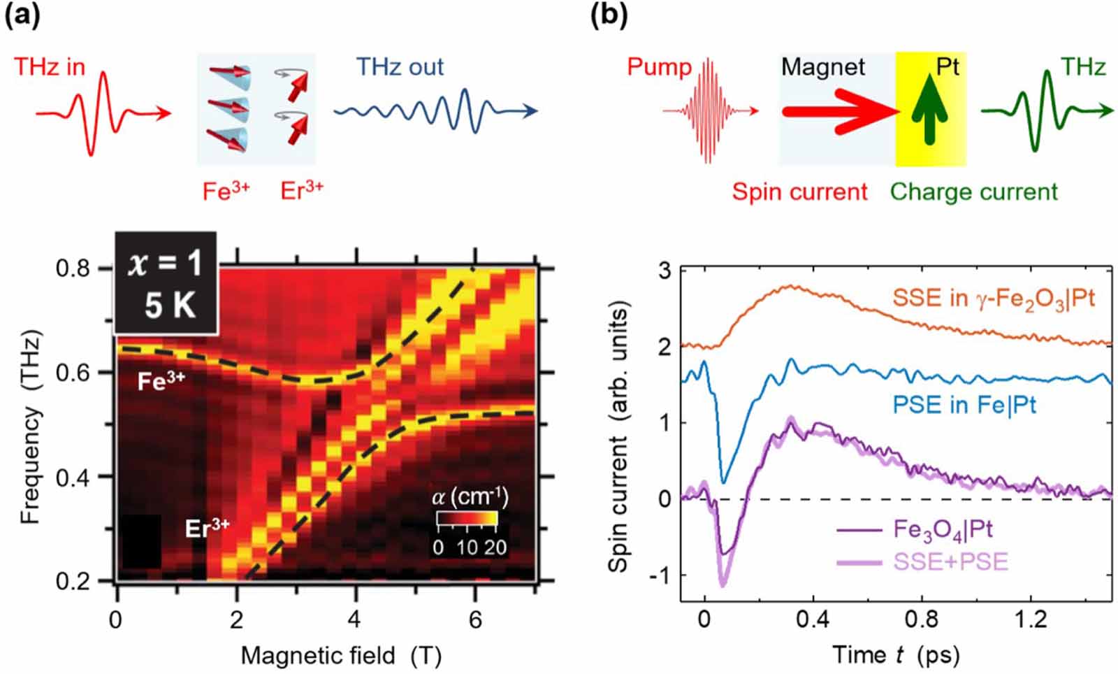 The 2023 terahertz science and technology roadmap - IOPscience