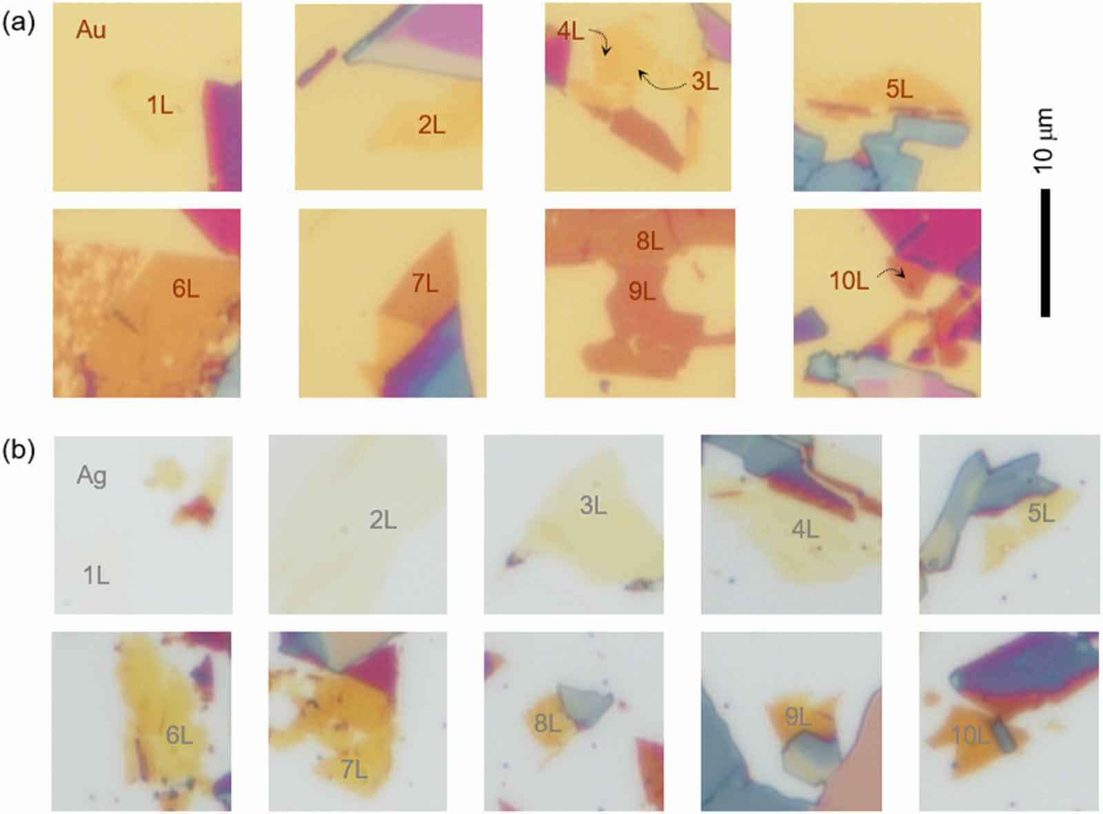 Thickness-dependent optical characteristics of WS2 flakes prepared by Au- and Ag-assisted ...