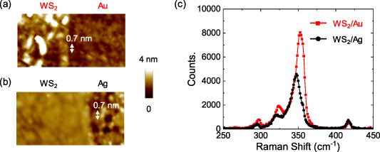 Thickness-dependent optical characteristics of WS2 flakes prepared by Au- and Ag-assisted ...