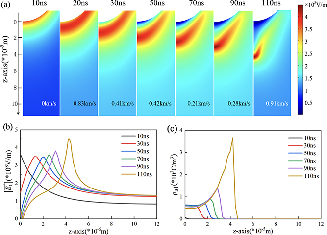 Numerical modeling of positive streamer propagation in alternative natural ester and traditional ...