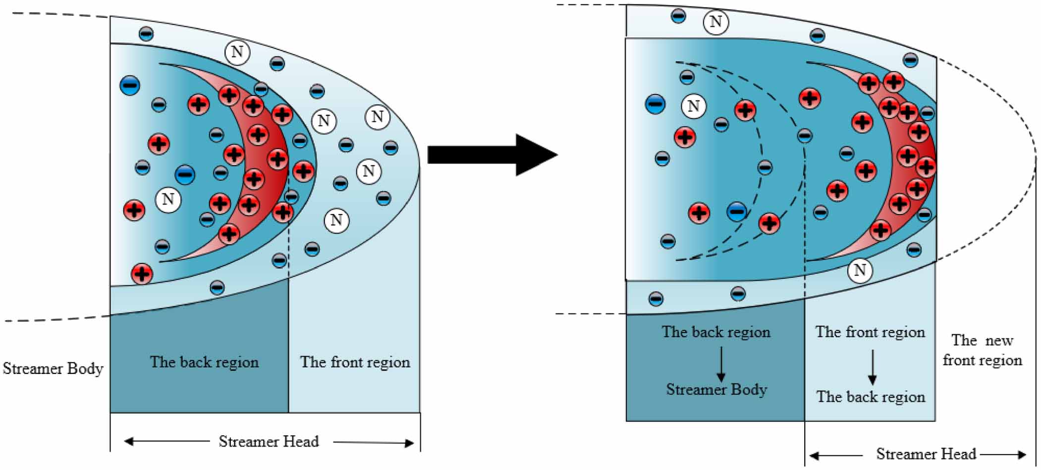Numerical modeling of positive streamer propagation in alternative natural ester and traditional ...