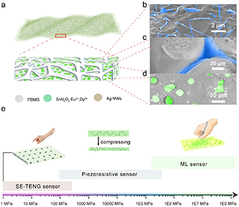 Ultra-wide range tri-mode flexible pressure sensor - IOPscience