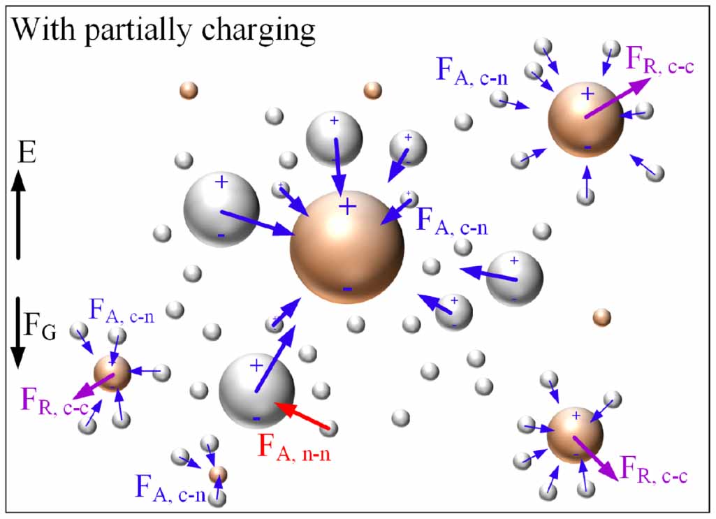 Investigation of the effects of parallel electric field on fog ...