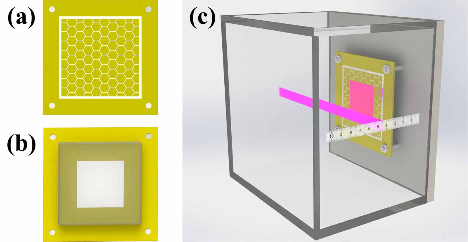 Quantitative characterization of the temporal-spatial evolution of RONS ...