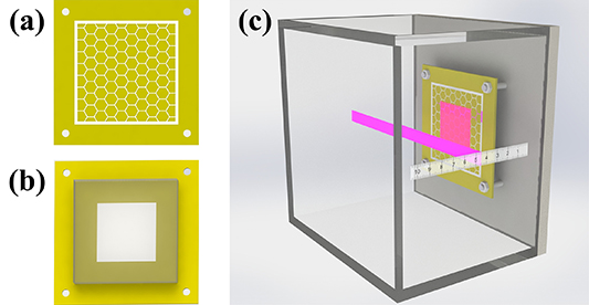 Quantitative characterization of the temporal-spatial evolution of RONS ...