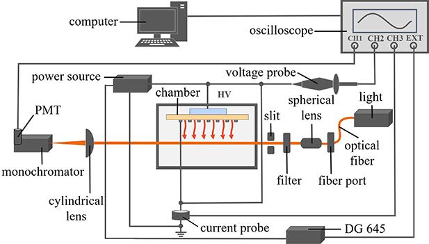 Quantitative characterization of the temporal-spatial evolution of RONS ...