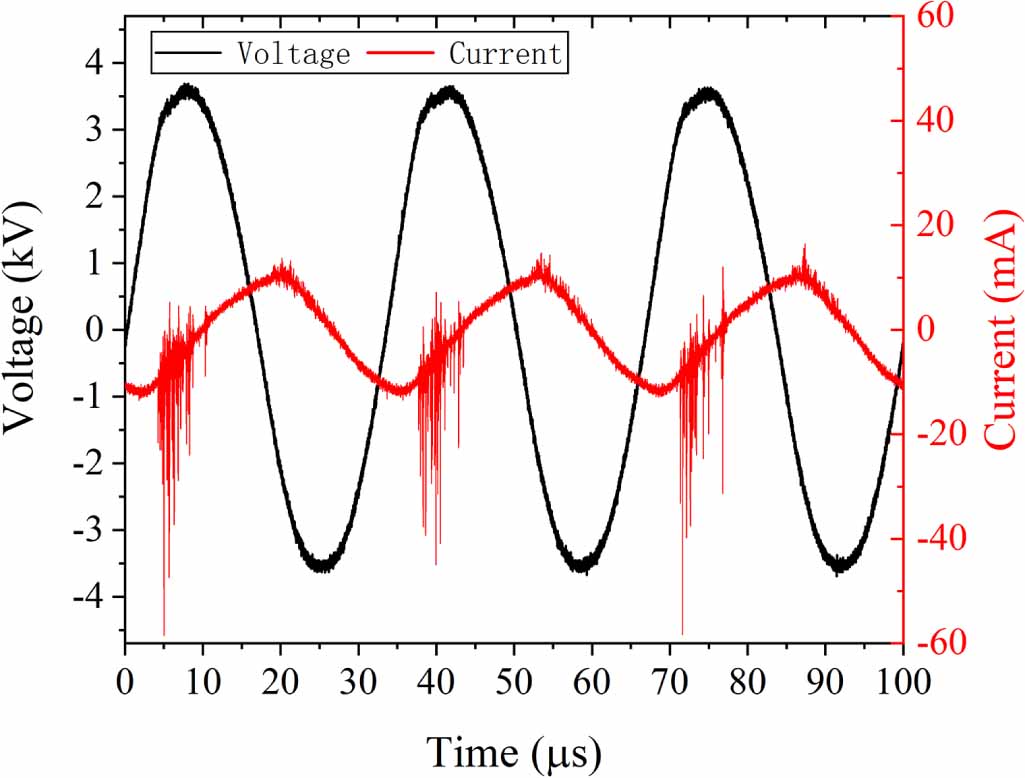 Quantitative characterization of the temporal-spatial evolution of RONS ...