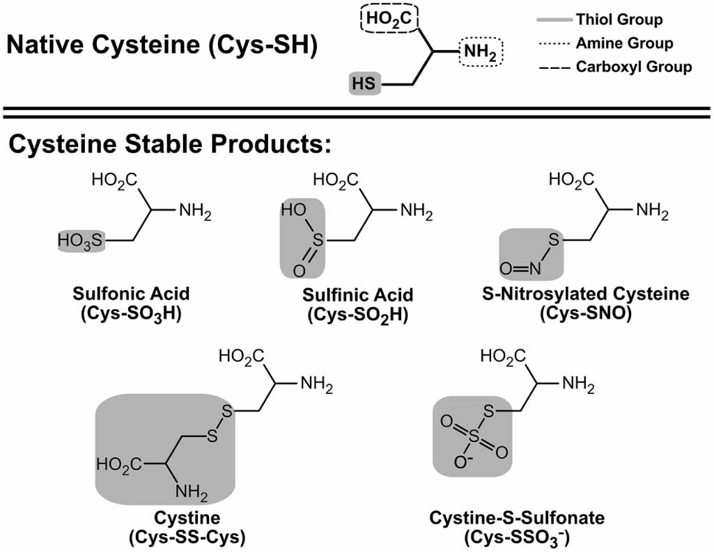 Reaction mechanism for atmospheric pressure plasma treatment of ...