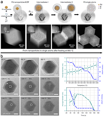Dynamic evolution of metal nanoclusters revealed by in-situ electron ...
