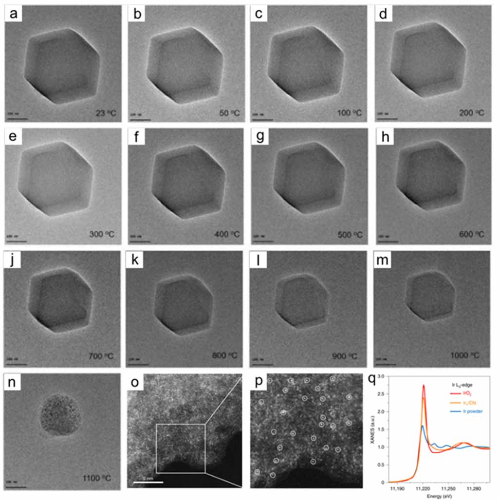 Dynamic evolution of metal nanoclusters revealed by in-situ electron ...