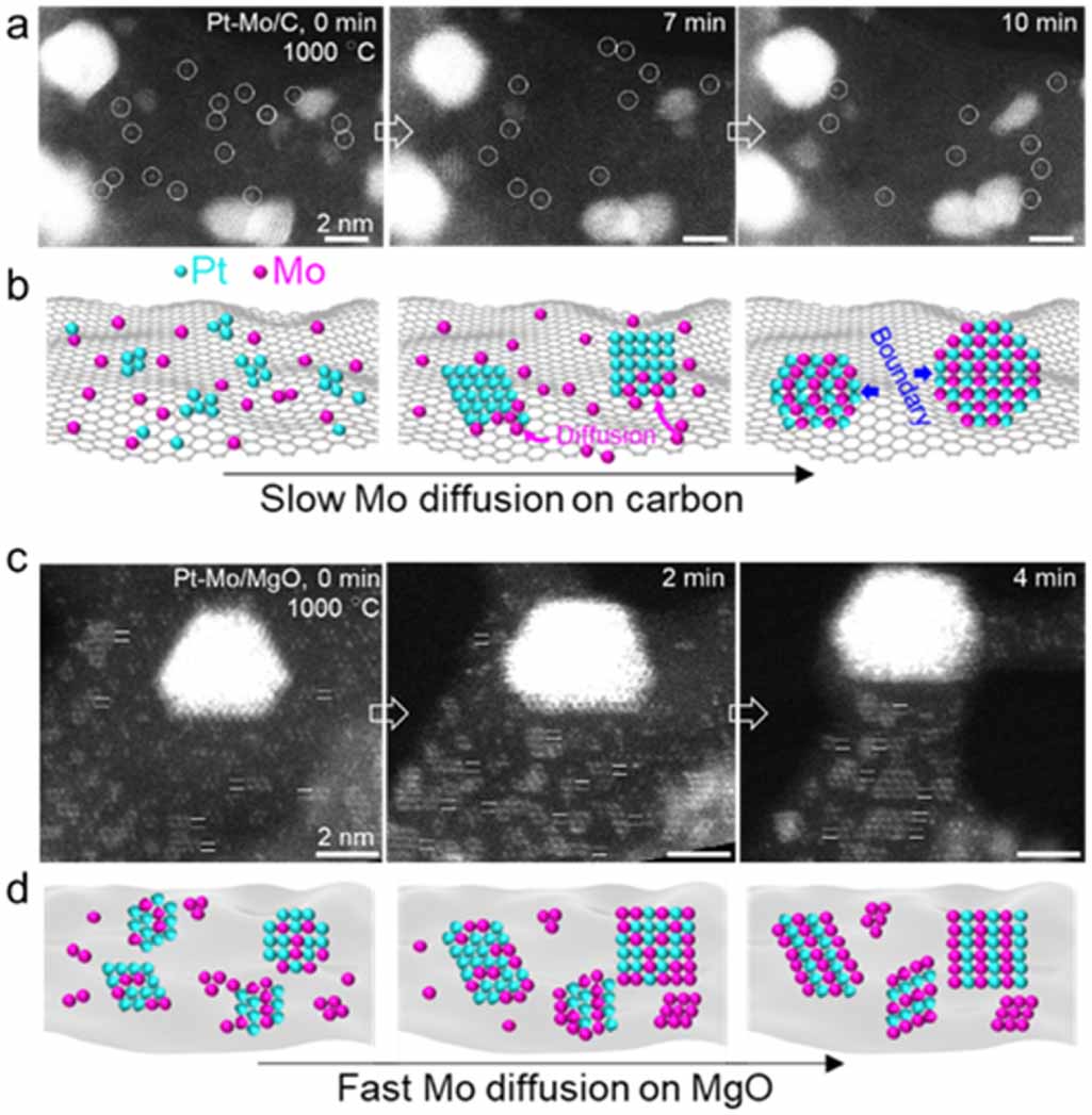 Dynamic evolution of metal nanoclusters revealed by in-situ electron ...