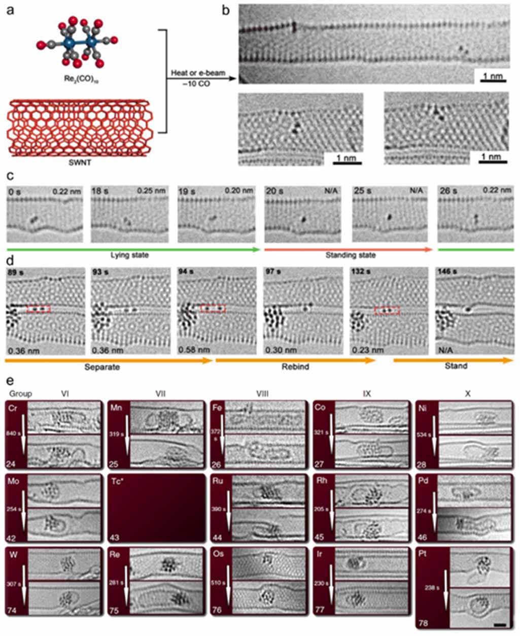 Dynamic evolution of metal nanoclusters revealed by in-situ electron ...