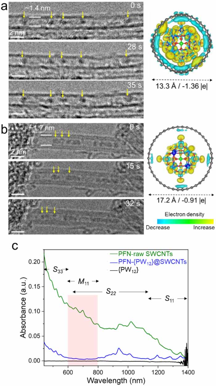 Dynamic evolution of metal nanoclusters revealed by in-situ electron ...